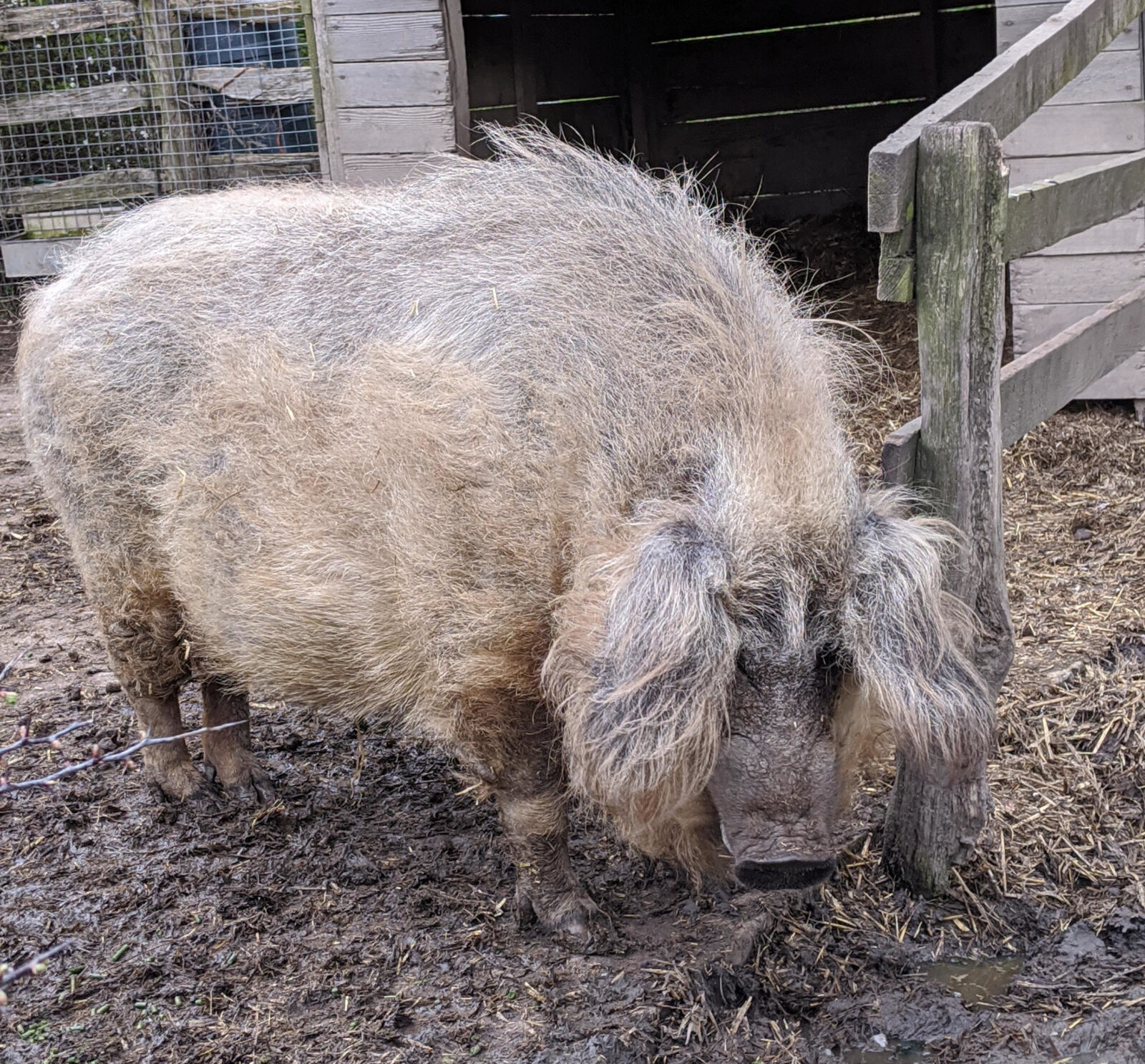 Living History Farm - Jarrow Hall
