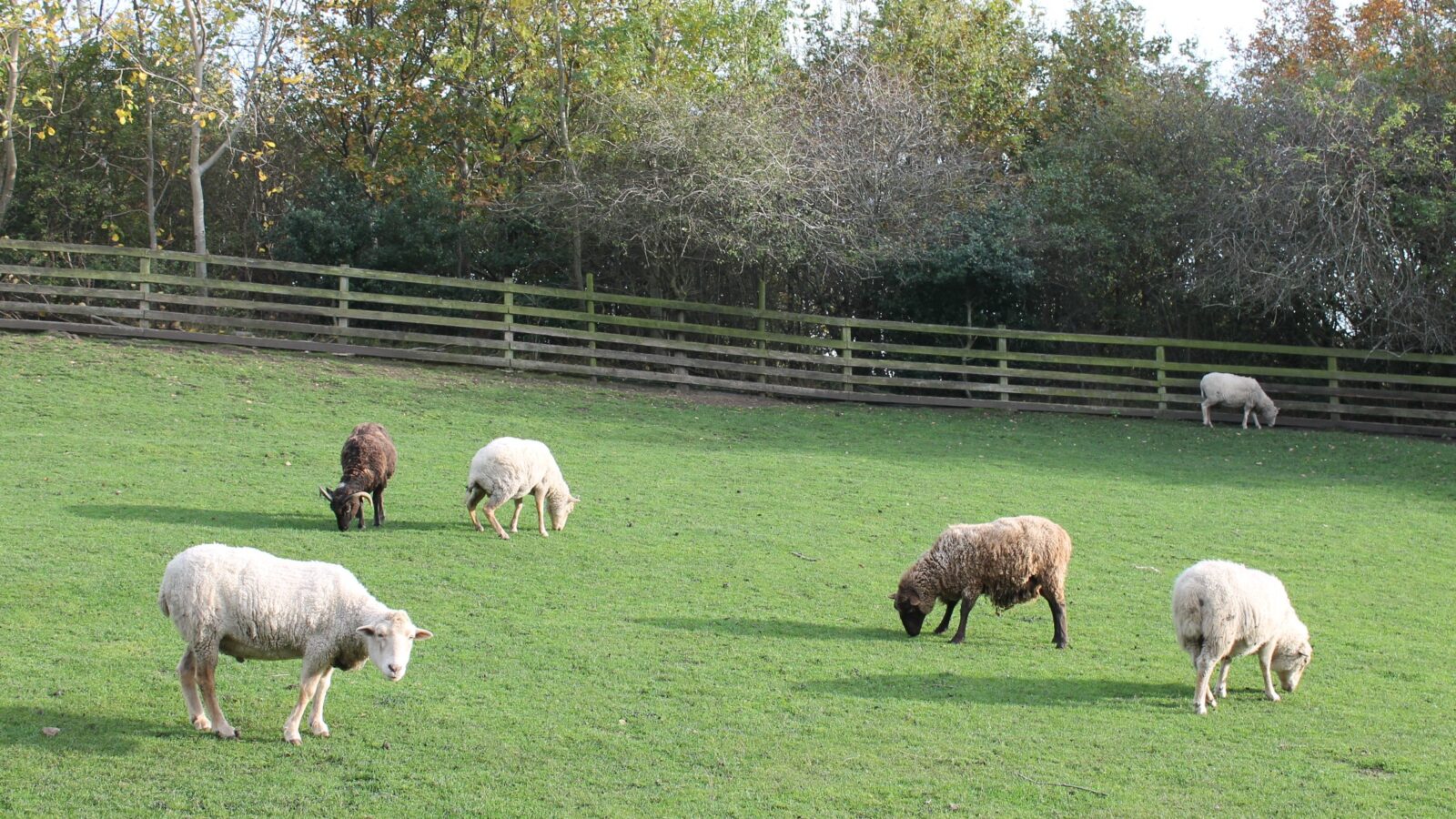 Farm School - Jarrow Hall